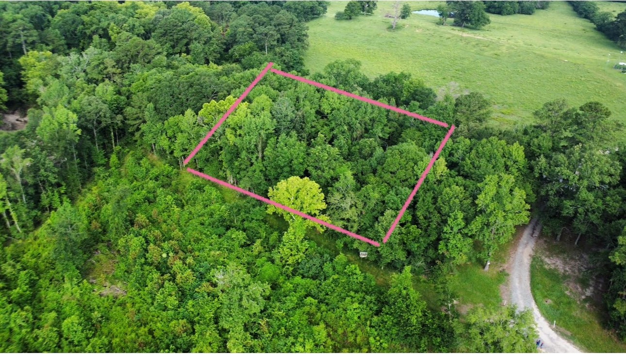 TBD State Highway Loop 116, Livingston, TX 77351